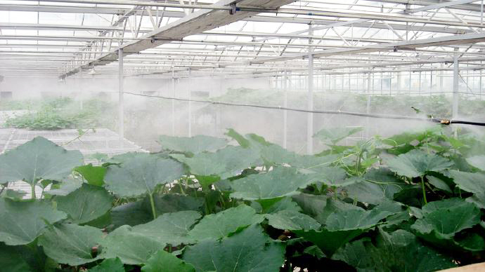 Greenhouse humidification atomizing spray system